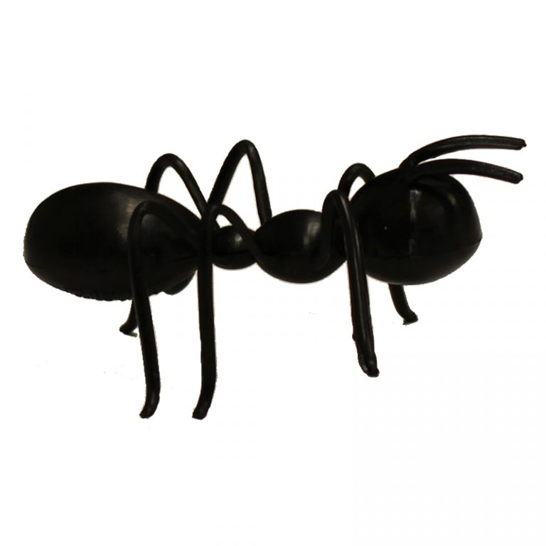 Buy 2" Novelty Party Black Plastic Ants Multi Purpose - Cappel's