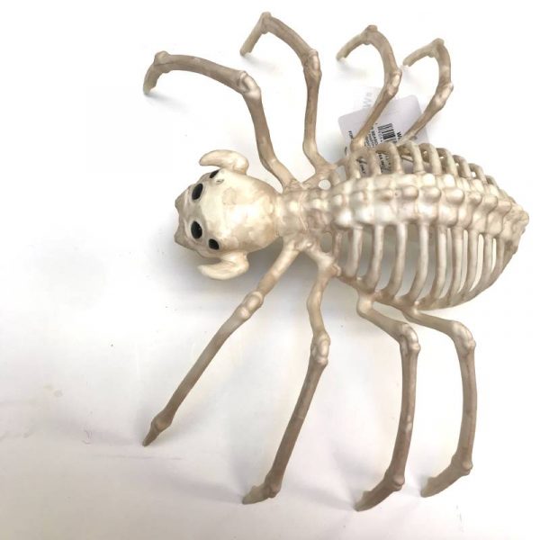14" Costume Plastic Skeleton Spider - Cappel's