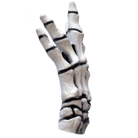 Junior Skeleton Hands - Cappel's