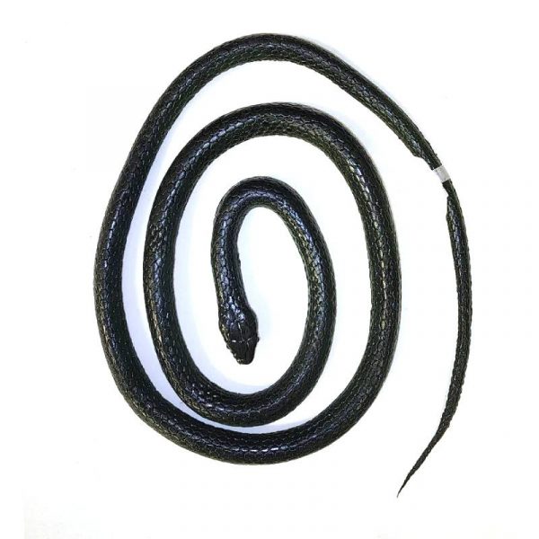 Coiled Rubber Snakes - Cappel's