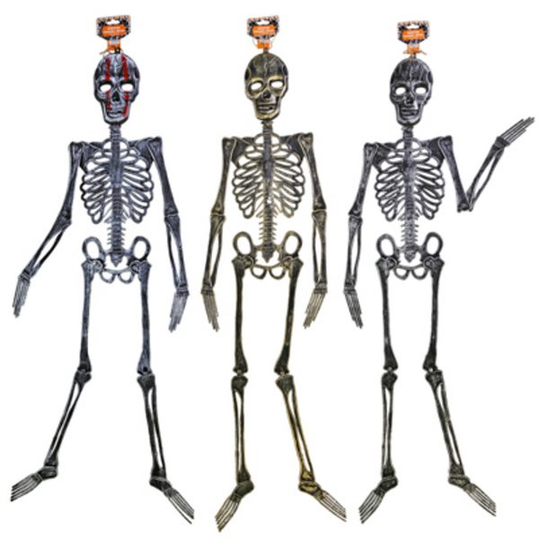 46" Flat Plastic Jointed Skeleton - Cappel's