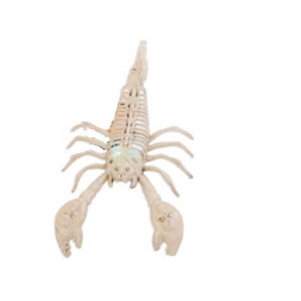 8" Light-Up Plastic Spider or Scorpion Skeleton - Cappel's