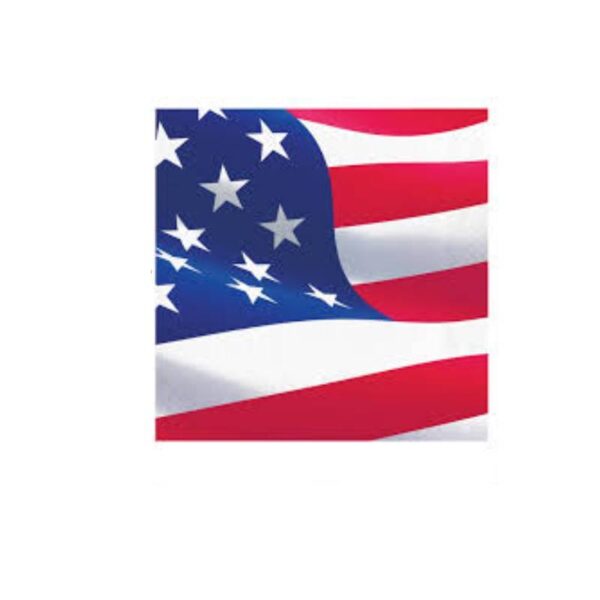 American Flag Lunch Napkin - Cappel's